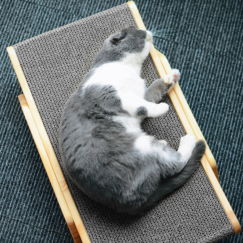 Zen Cat Scratcher Bed – Zen Pets